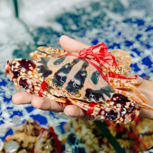 Ghẹ Đỏ Tươi Ngon Giá Rẻ