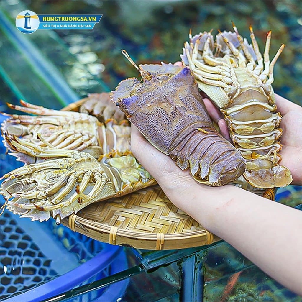 Tôm Mũ Ni Tươi Sống - Giá Cực Ưu Đãi - Giao Nhanh